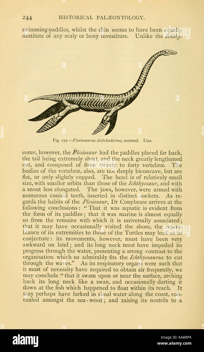 This illustration from 'The Ancient Life History of the Earth' shows a ...