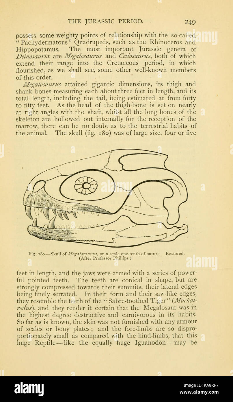 The ancient life history of the earth (Page 249, Fig. 180) BHL13762739 ...