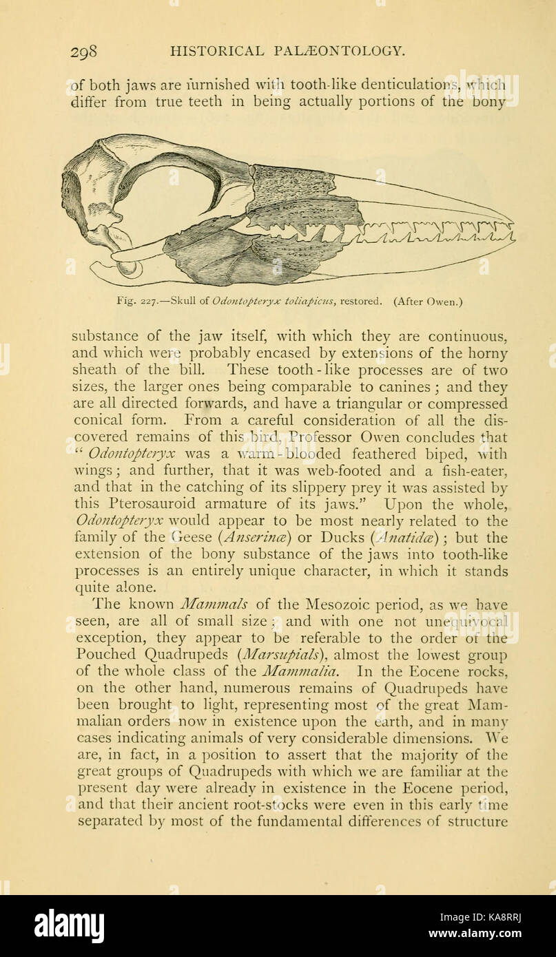 The ancient life history of the earth (Page 298, Fig. 227) BHL13762788 ... The ancient life history of the earth (Page 298, Fig. 227) BHL13762788 ...