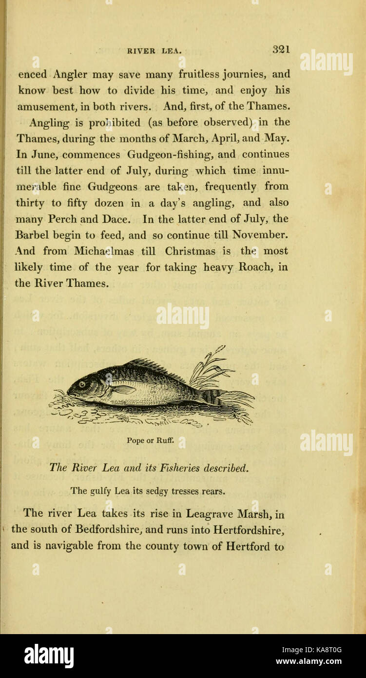 Fig 321 hi-res stock photography and images - Alamy