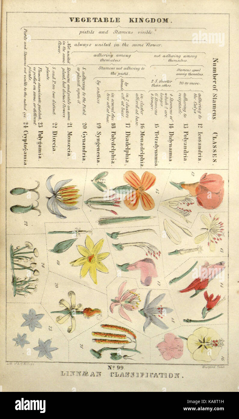 Botanical and medicinal plants featured in 'The Family Flora and ...