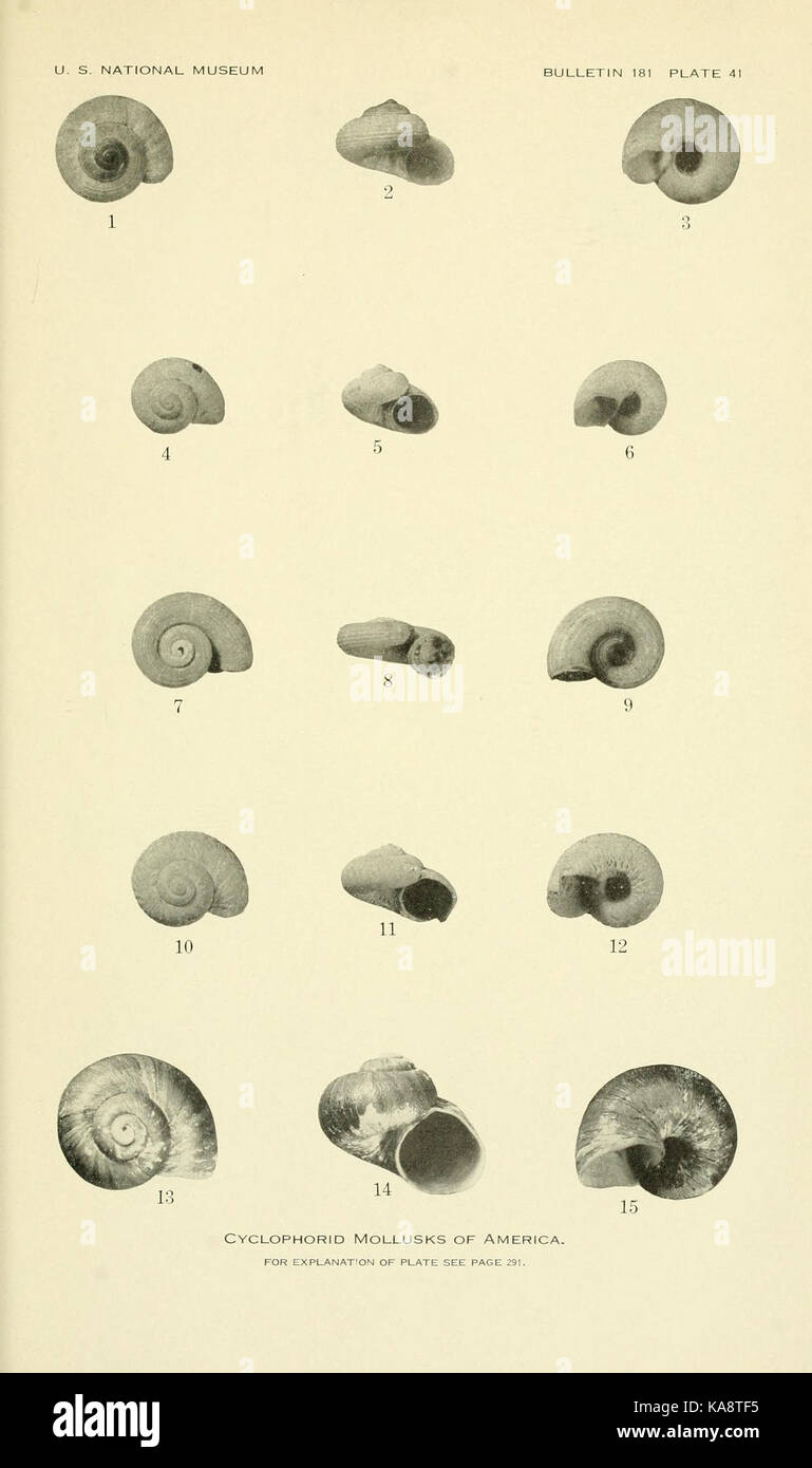 Operculate hi-res stock photography and images - Alamy