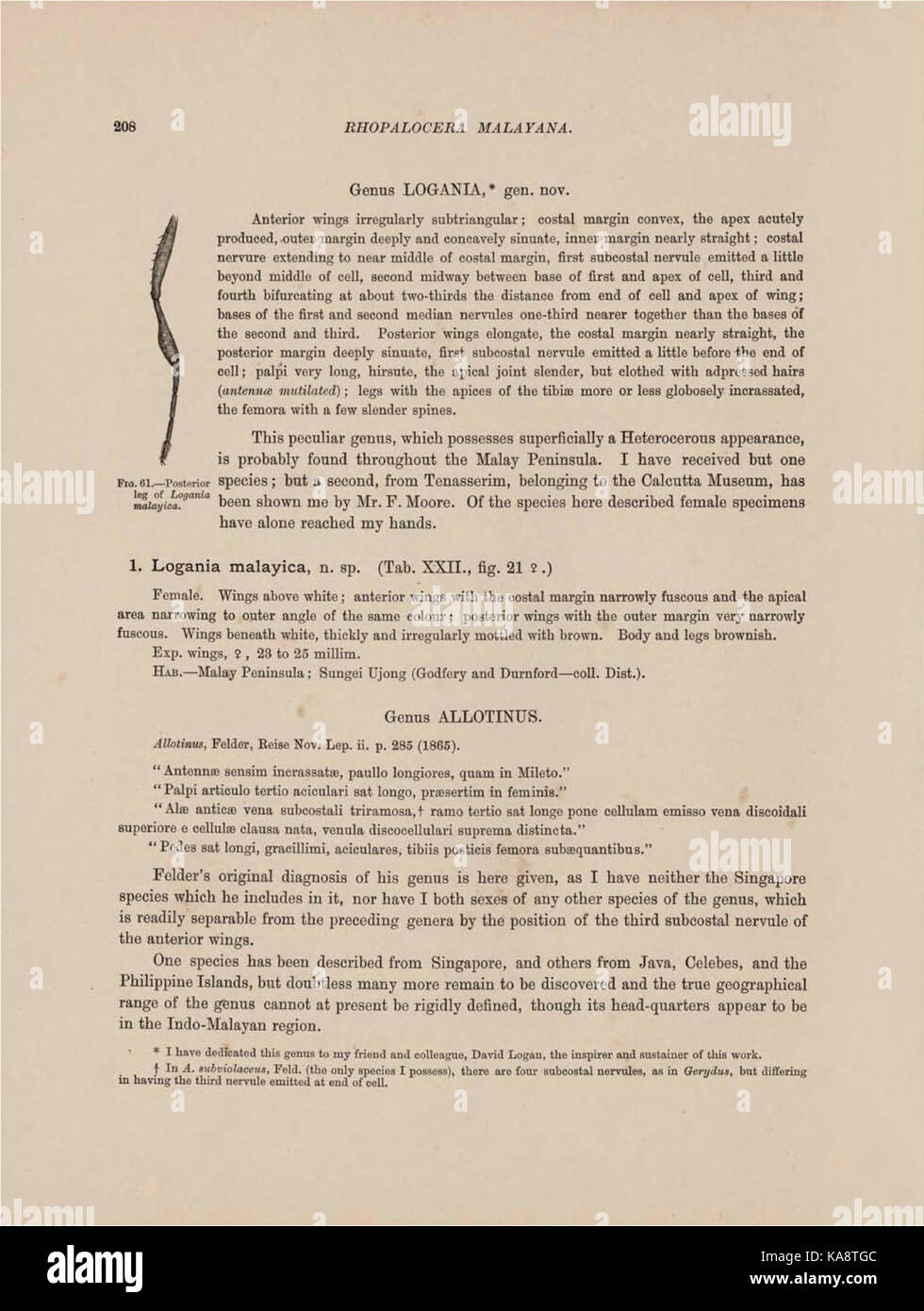 Rhopalocera Malayana a description of the butterflies of the Malay ...