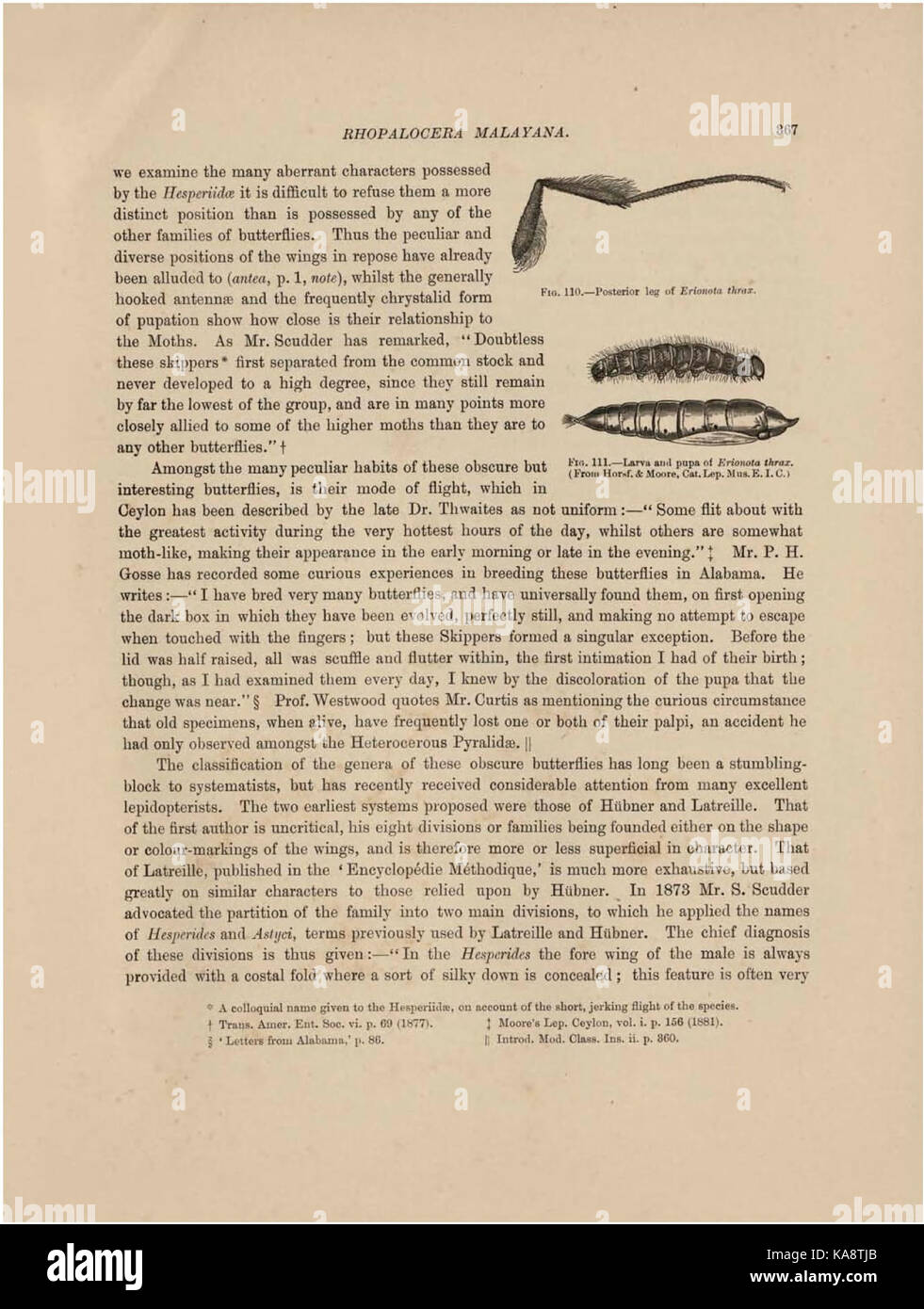 Rhopalocera Malayana a description of the butterflies of the Malay ...