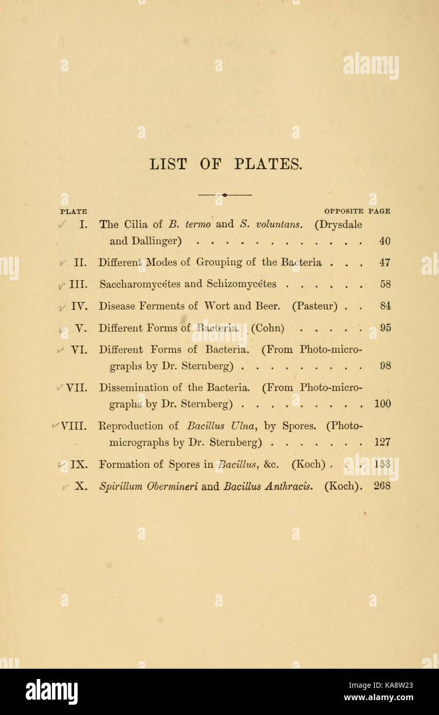 This page from 'The Bacteria' discusses various bacteria species, with ...