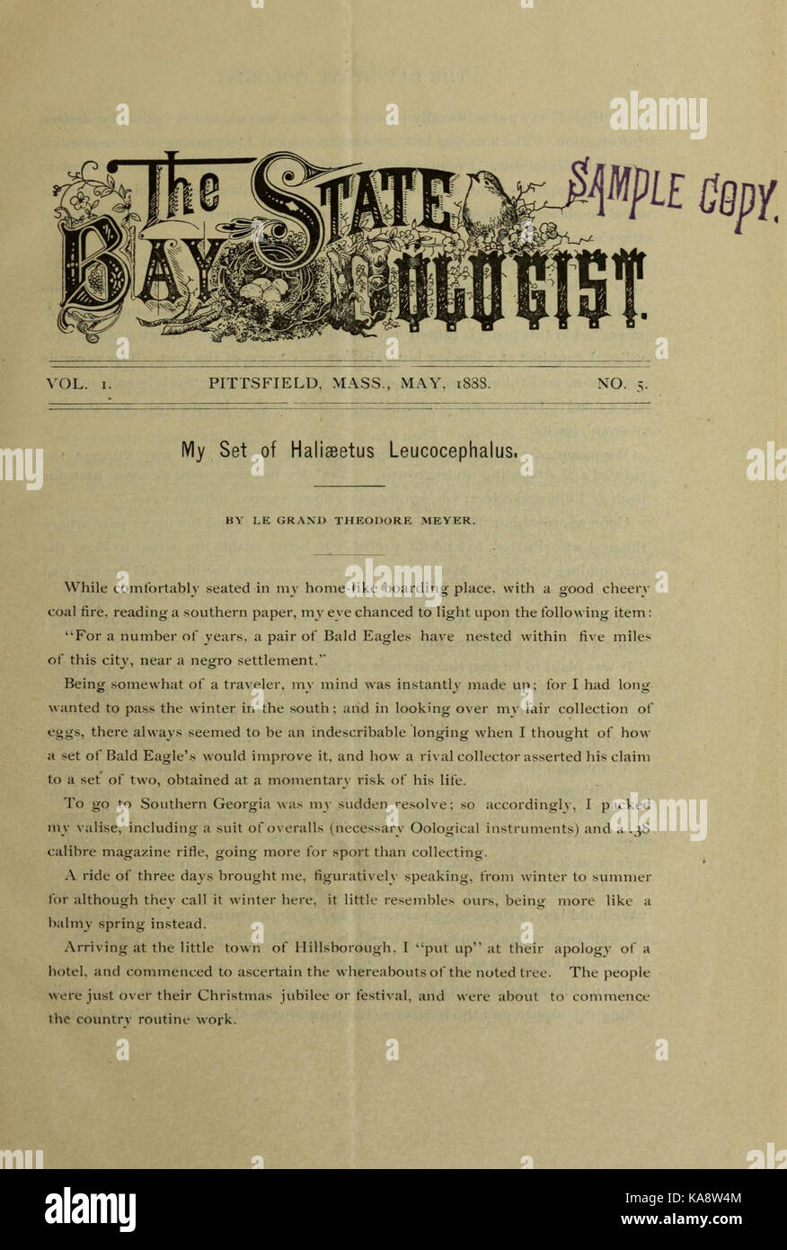 The Bay State oologist BHL43579316 Stock Photo - Alamy