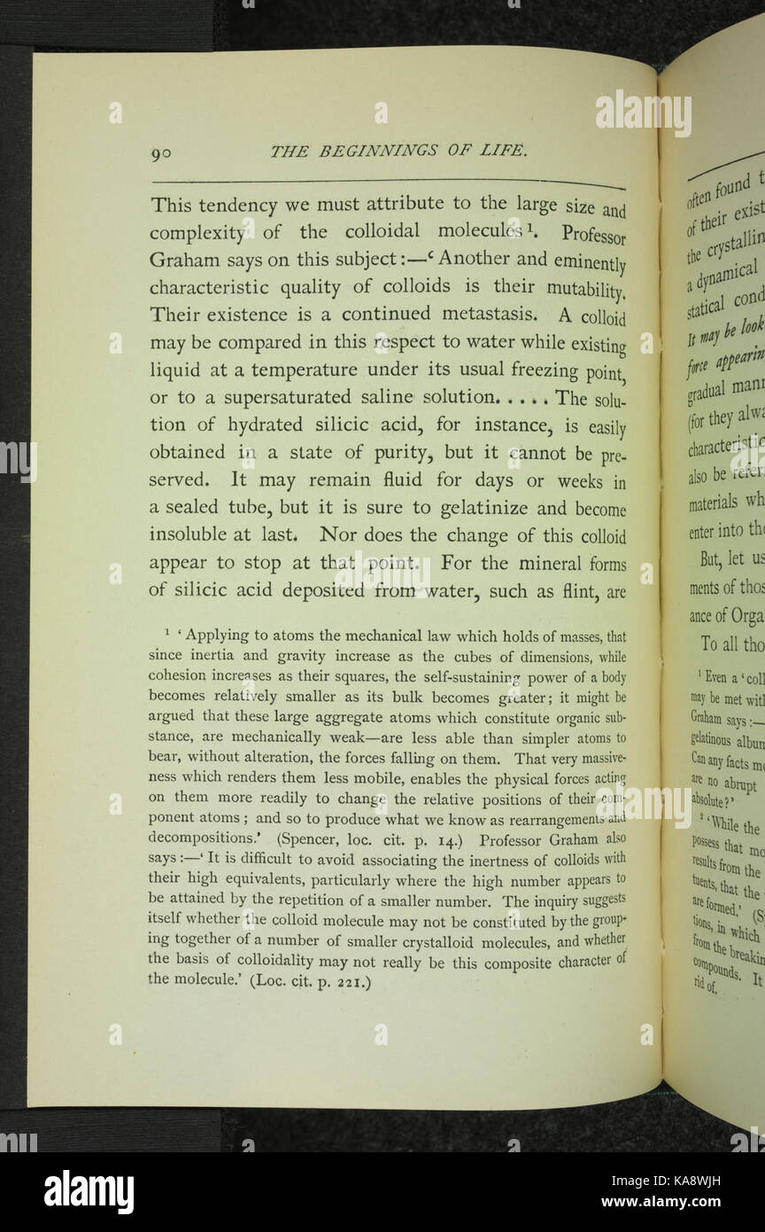 Forms of life related hi-res stock photography and images - Alamy