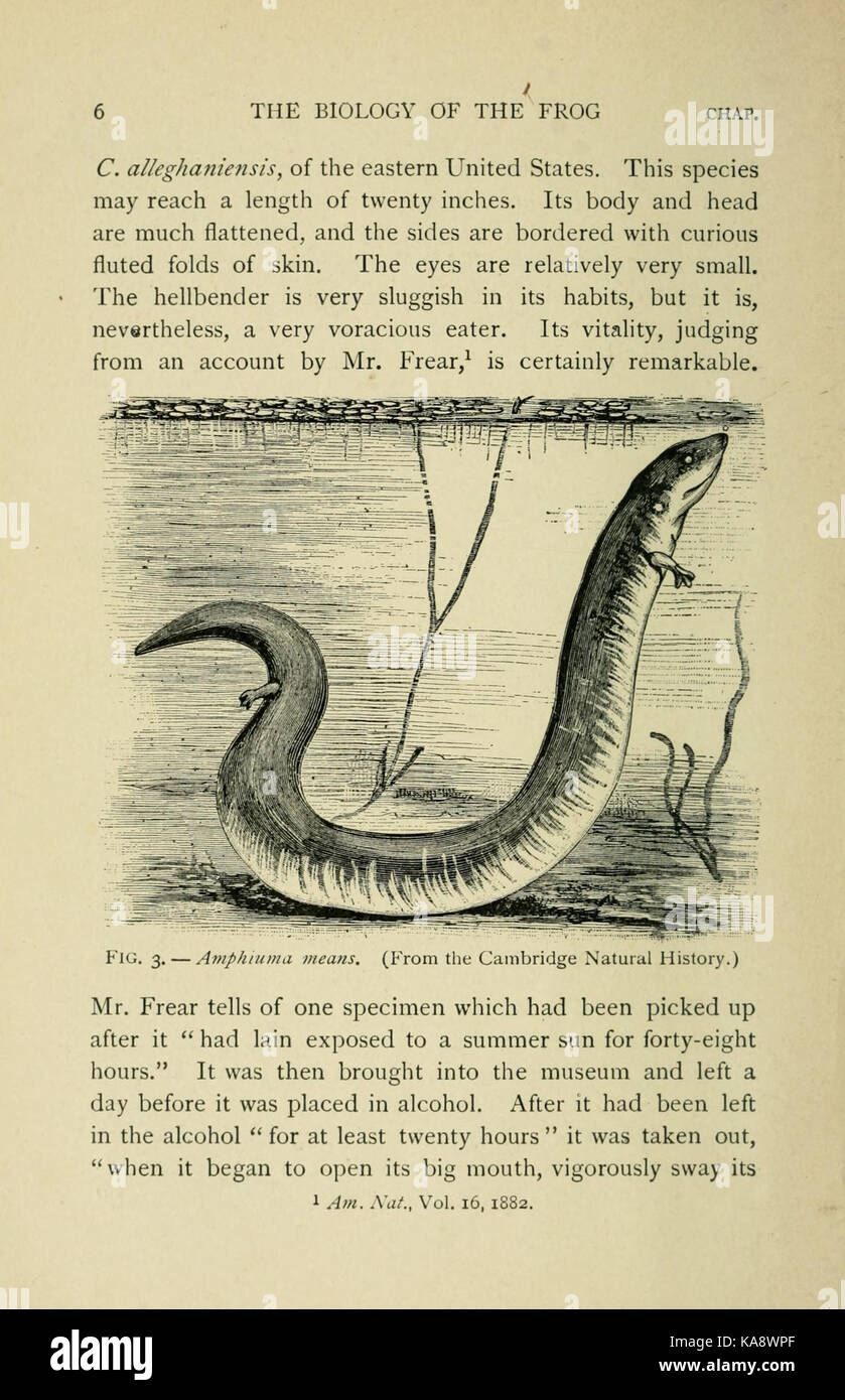 This illustration from a biological study of frogs highlights the ...