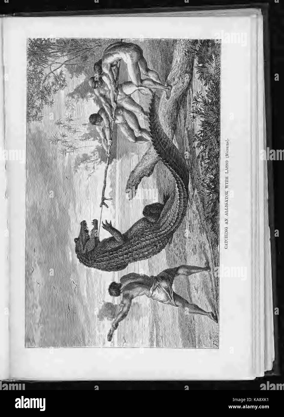 Brazilian amazon rainforest Black and White Stock Photos & Images - Alamy