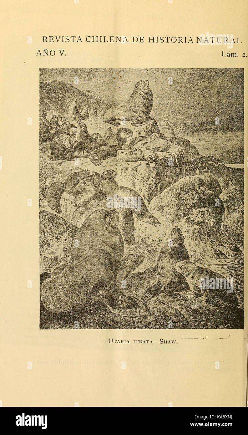 Historia chilena hi-res stock photography and images - Alamy