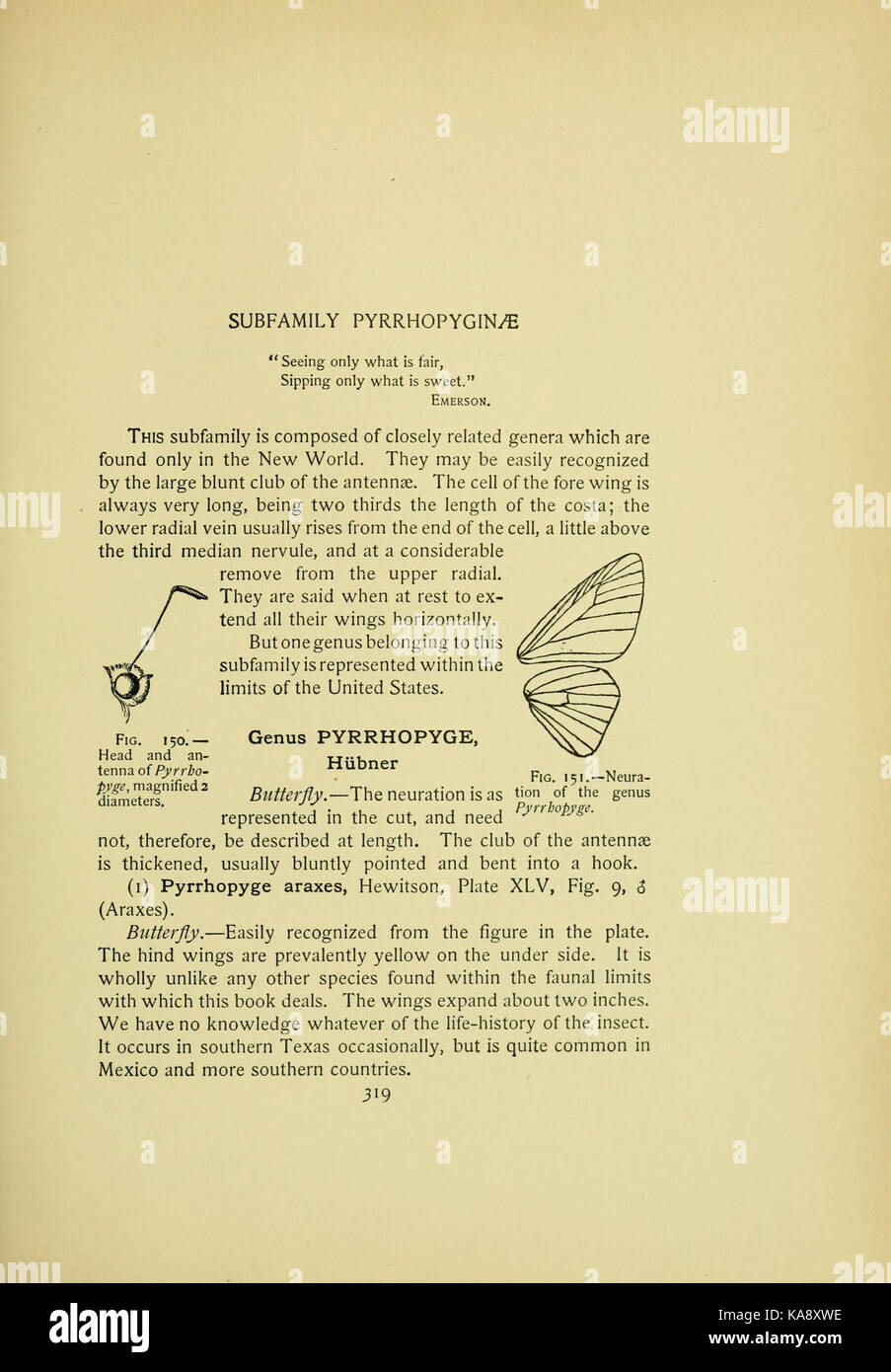 The butterfly book (Page 319) BHL10081467 Stock Photo - Alamy