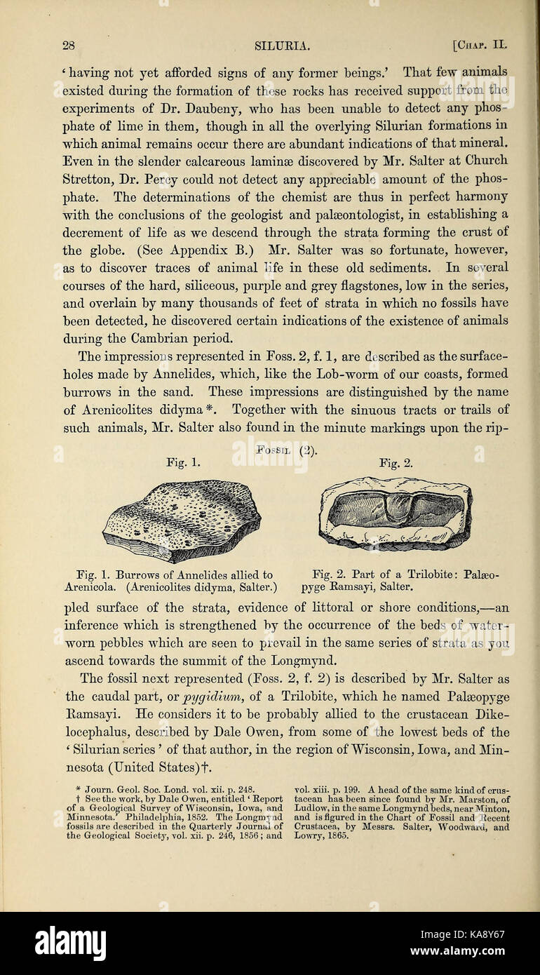 Silurian period fossils hi-res stock photography and images - Alamy
