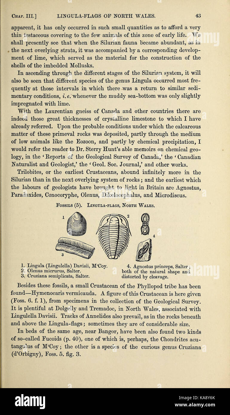 Map page 43 hi-res stock photography and images - Alamy