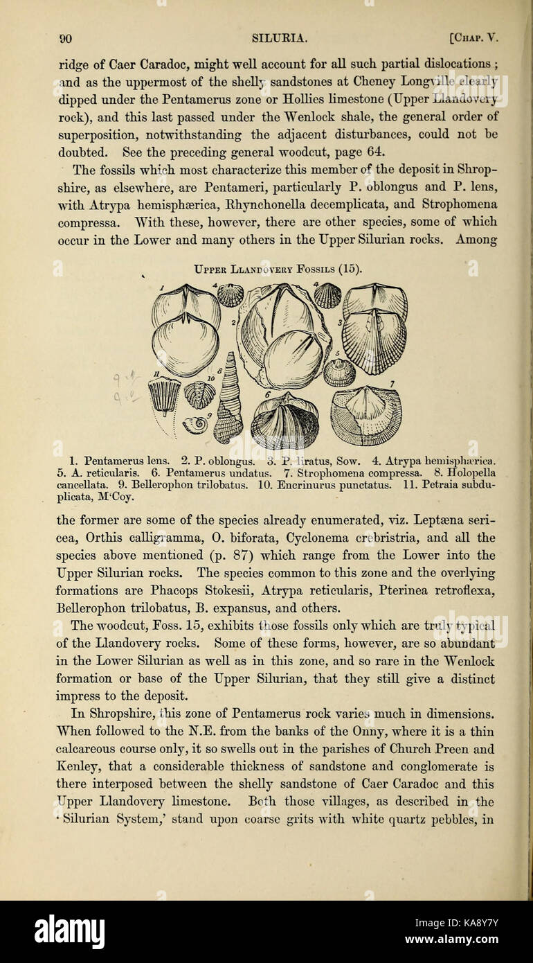 Siluria hi-res stock photography and images - Alamy