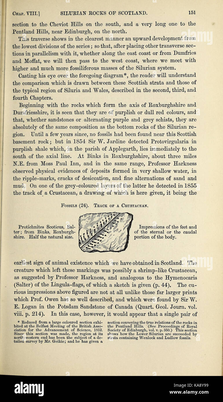 Siluria hi-res stock photography and images - Alamy