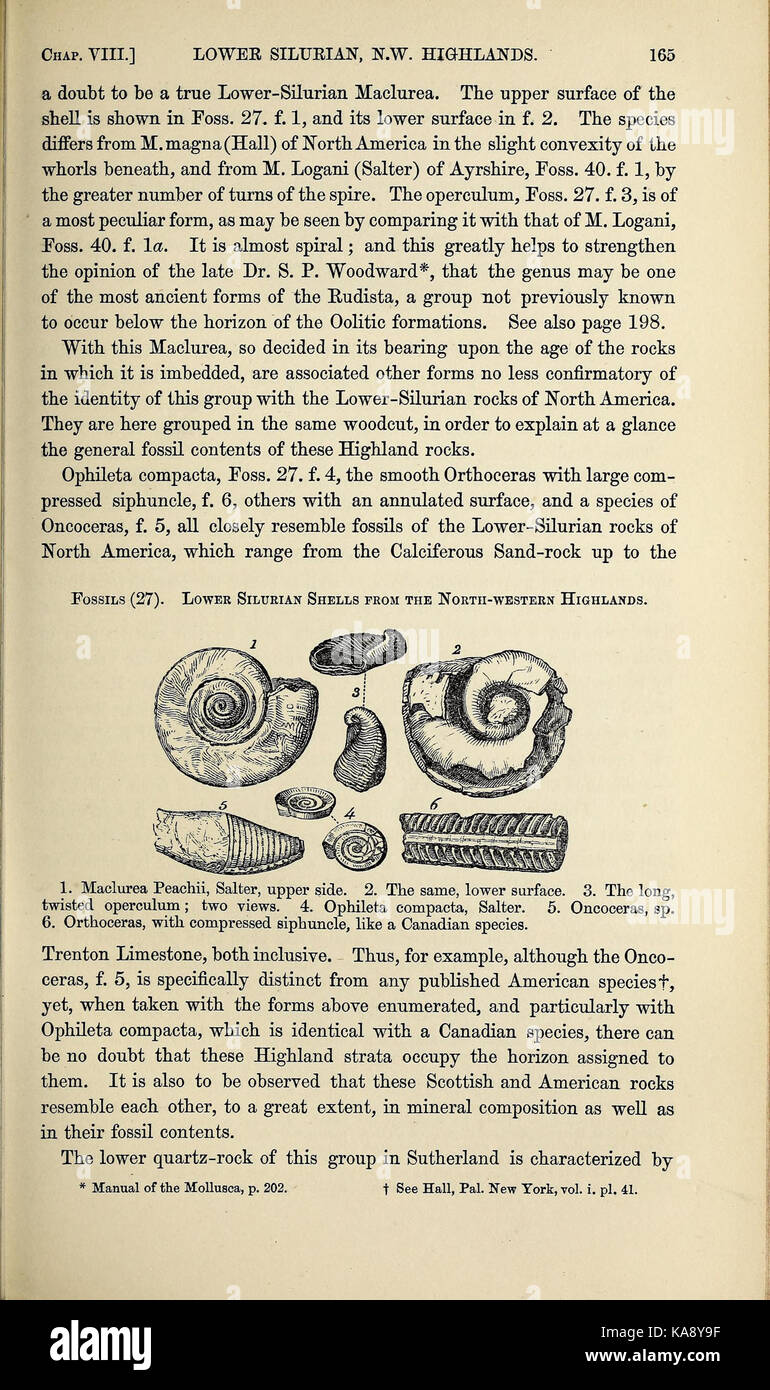 This title refers to a page from the book 'Siluria,' likely discussing ...