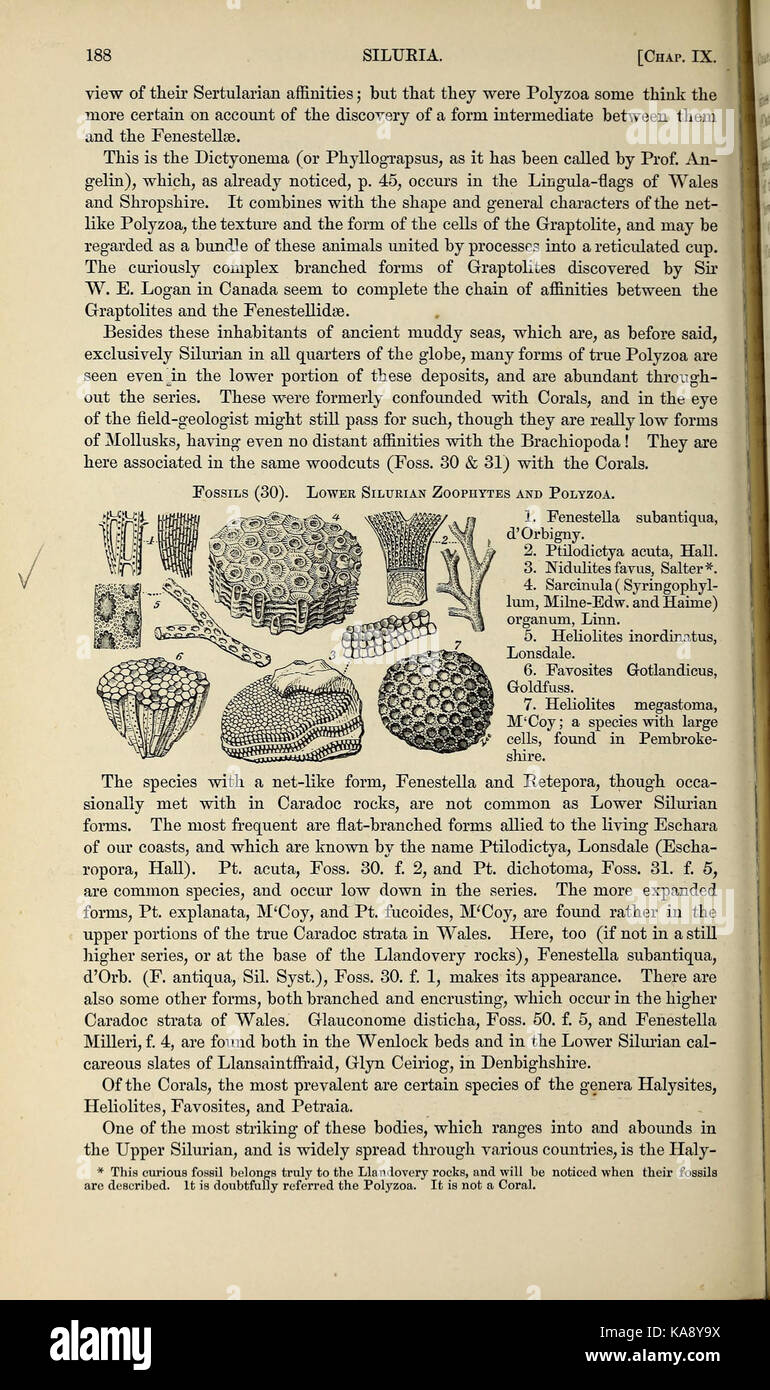 This image shows a page from the book *Siluria*, featuring ...