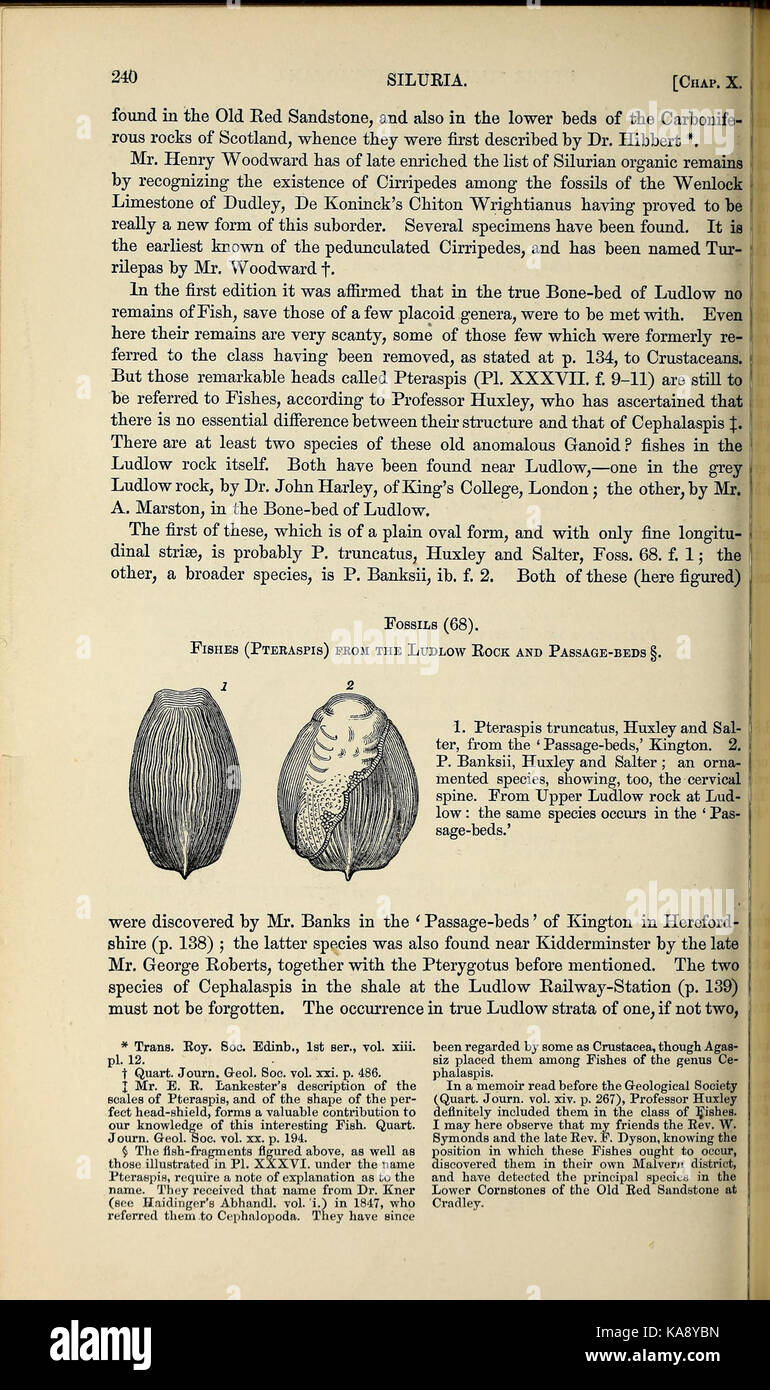 Siluria hi-res stock photography and images - Alamy