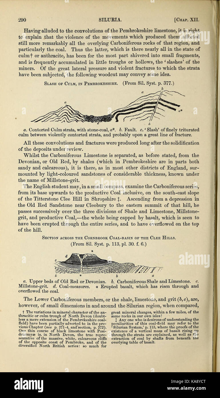 Siluria hi-res stock photography and images - Alamy