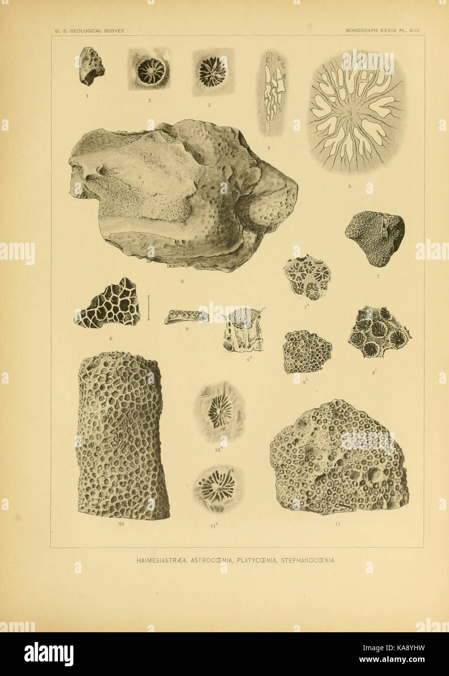Eocene map hi-res stock photography and images - Alamy