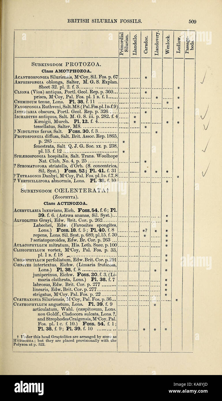 Murchisons hi-res stock photography and images - Alamy