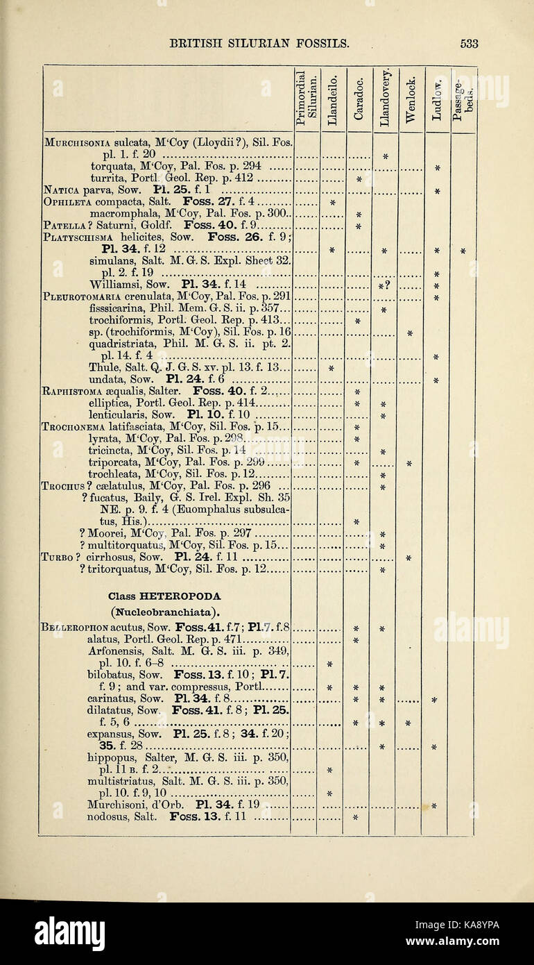 Siluria hi-res stock photography and images - Alamy