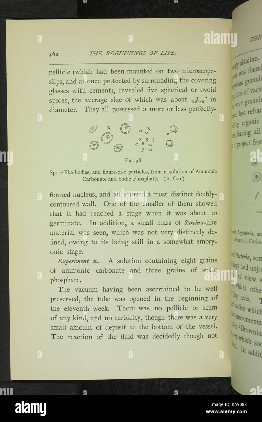'The Beginnings of Life' discusses scientific theories on the origin of ...