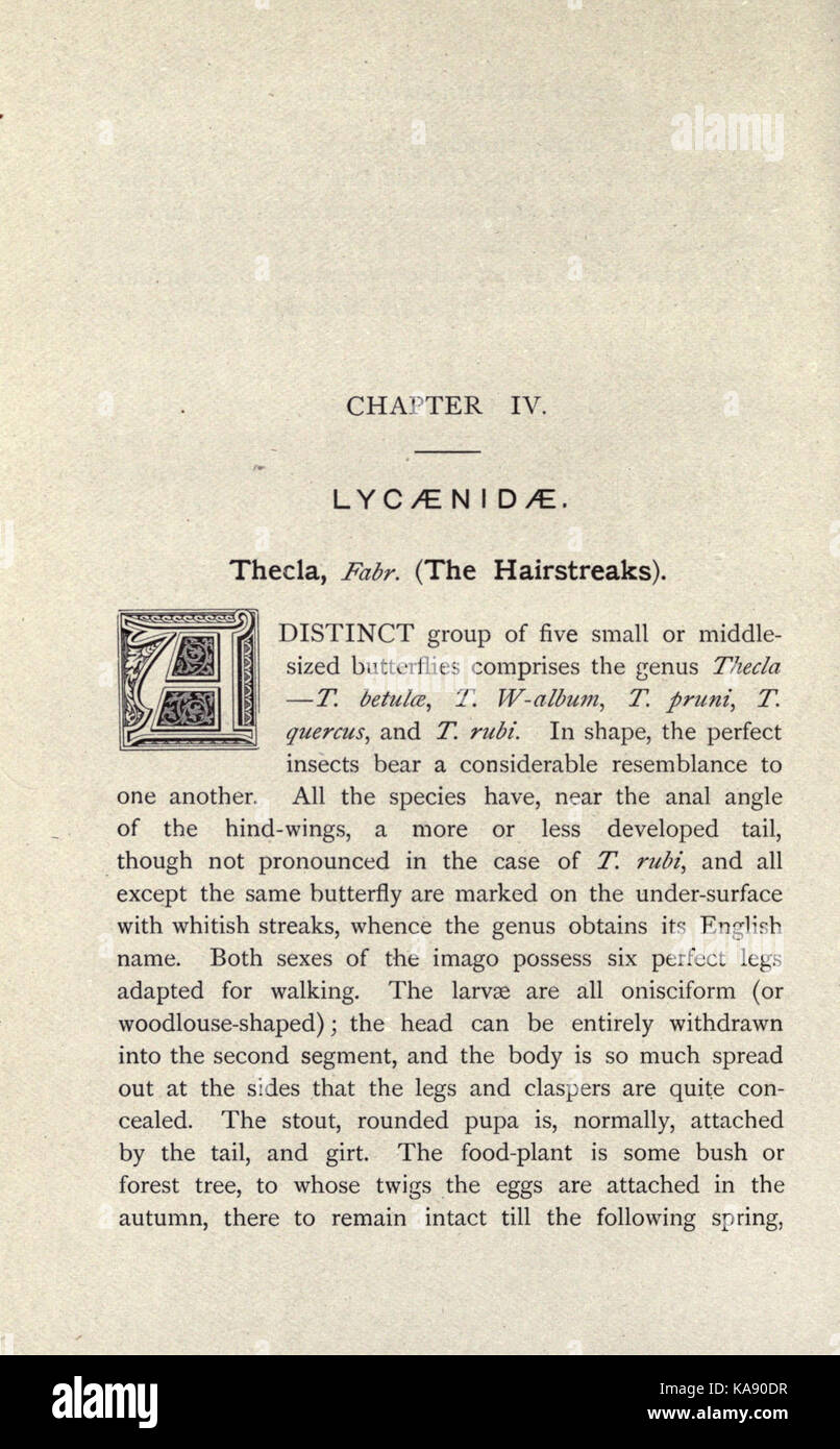 Detailed entomological guide on hi-res stock photography and images - Alamy