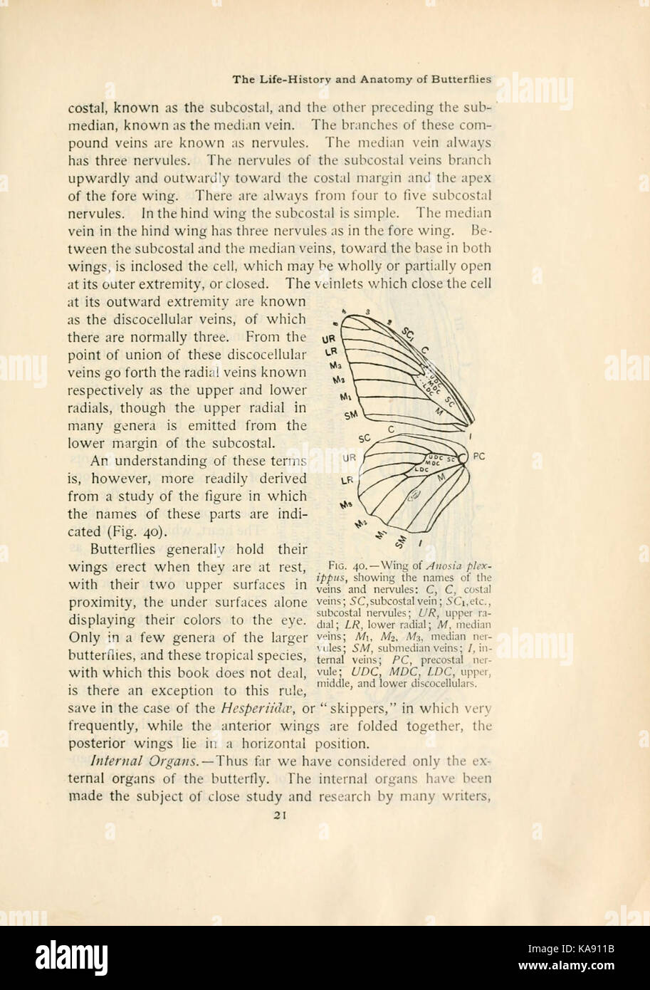 'The Butterfly Book' provides illustrations and information on various ...