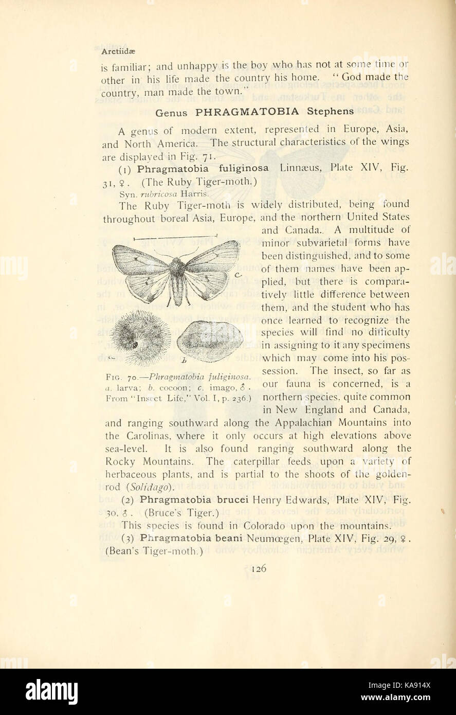 The butterfly book BHL4692023 Stock Photo - Alamy