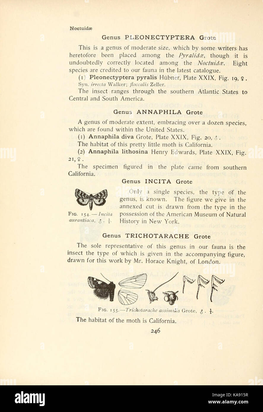 Butterfly book butterflies hi-res stock photography and images - Alamy