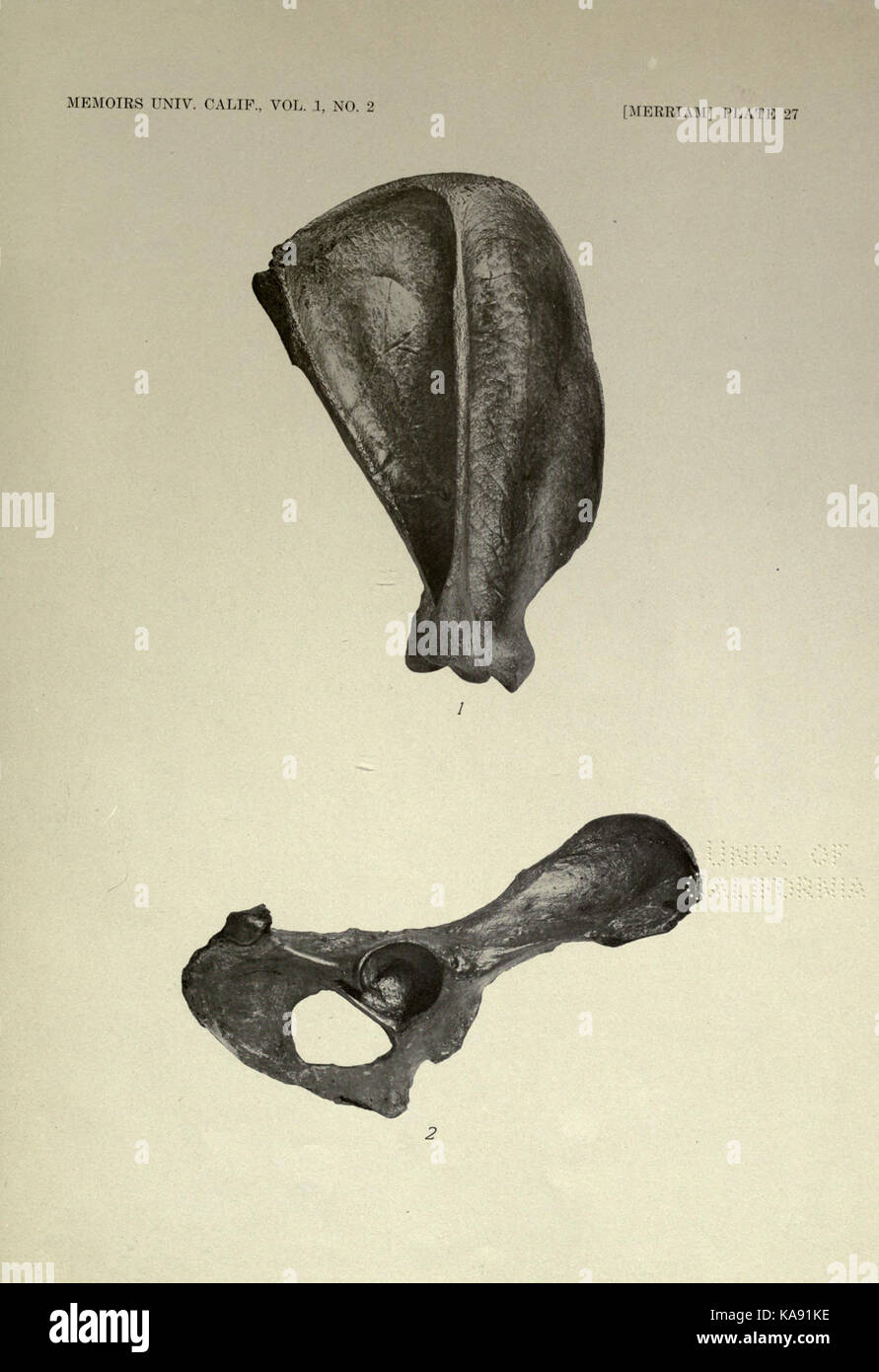 Tar catalog hi-res stock photography and images - Alamy