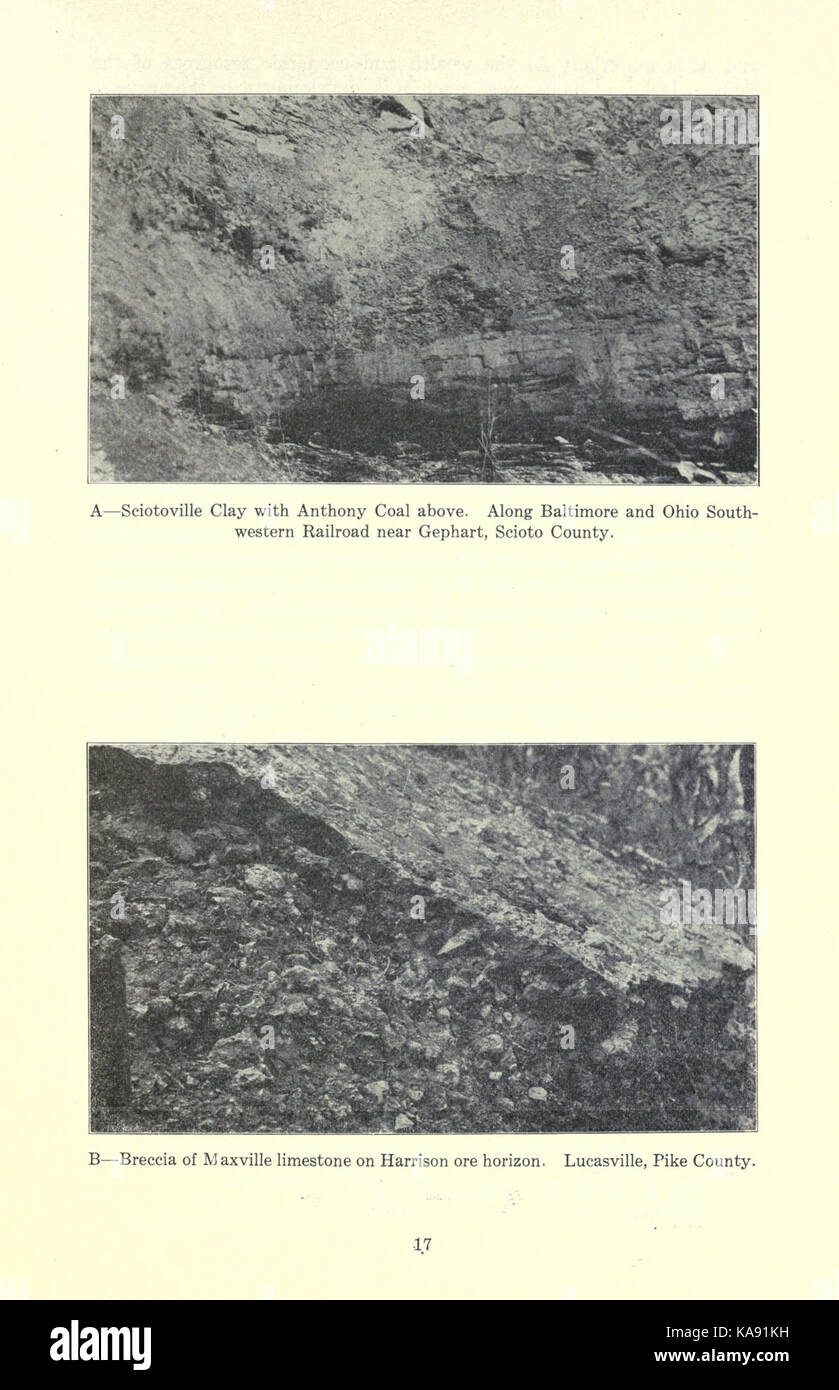 The fauna of the Pottsville formation of Ohio below the Lower Mercer ...