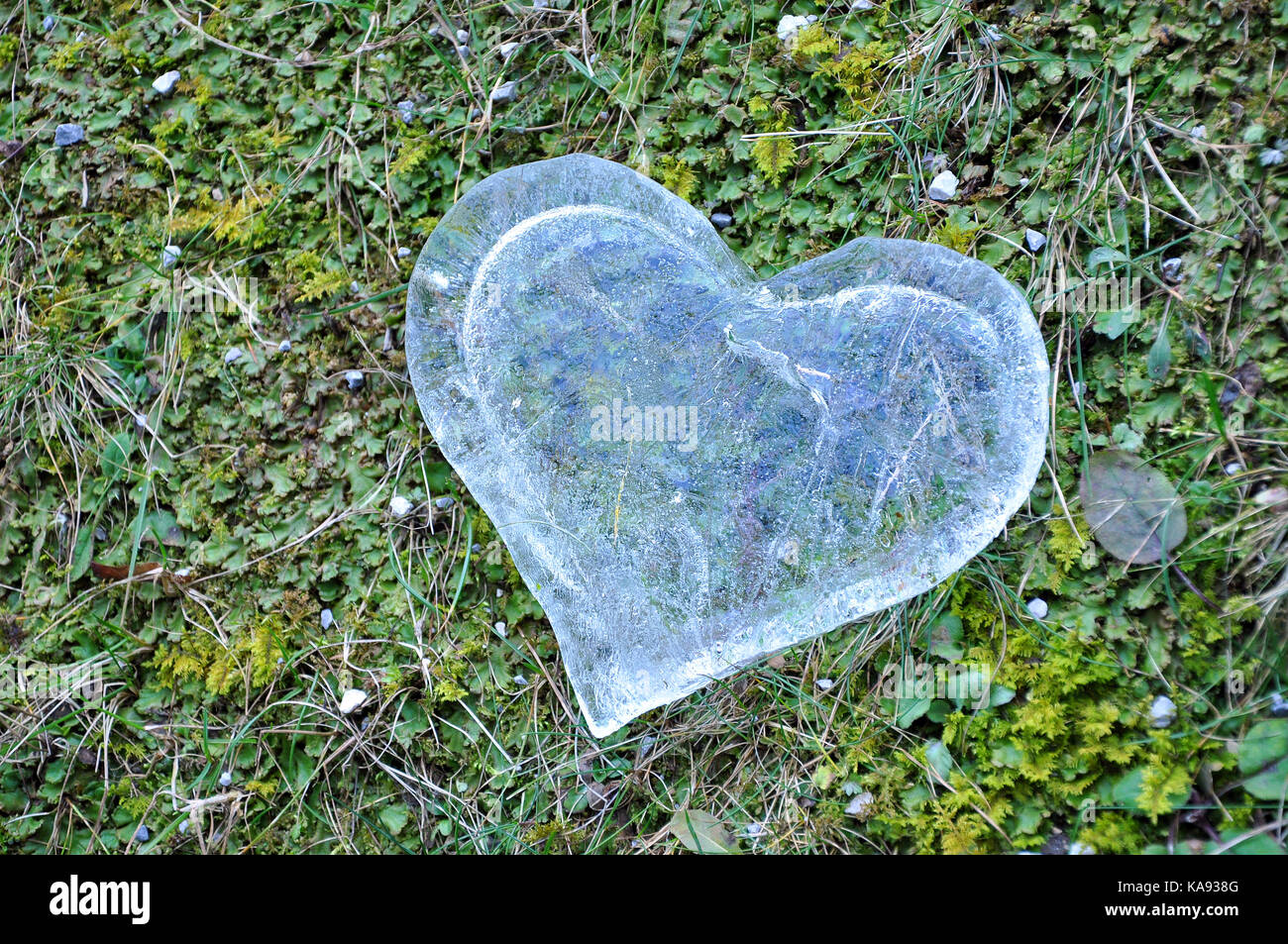Ice heart. Valentine's day love concept Stock Photo - Alamy