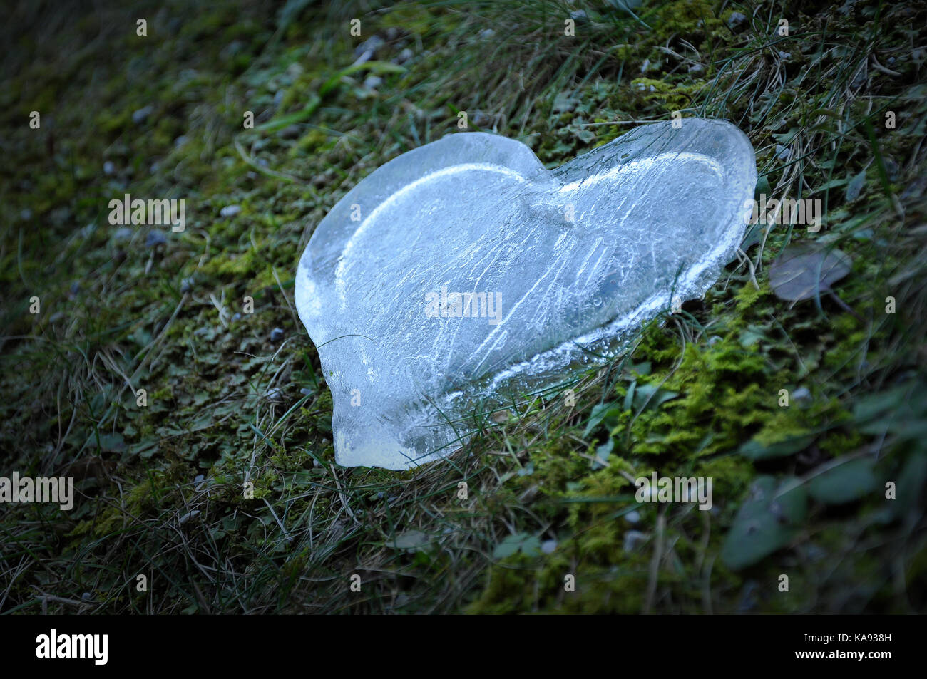 Ice heart. Valentine's day love concept Stock Photo - Alamy