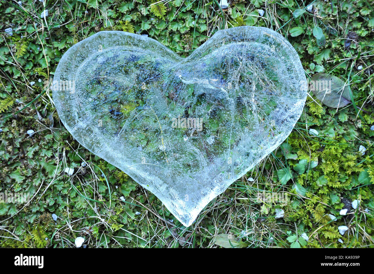 Ice heart. Valentine's day love concept Stock Photo - Alamy