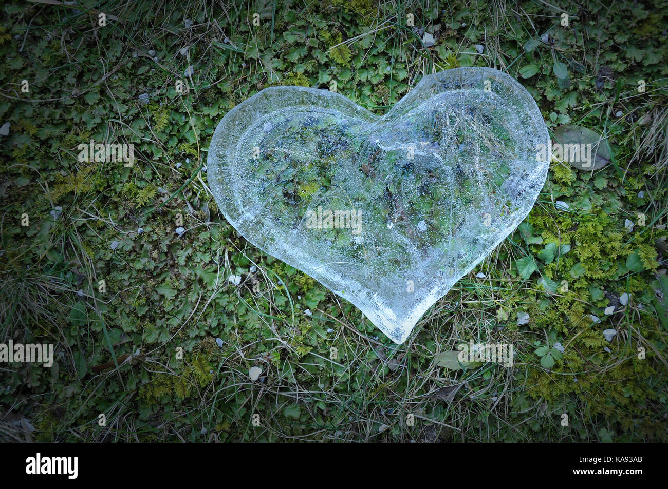 Ice heart. Valentine's day love concept Stock Photo - Alamy