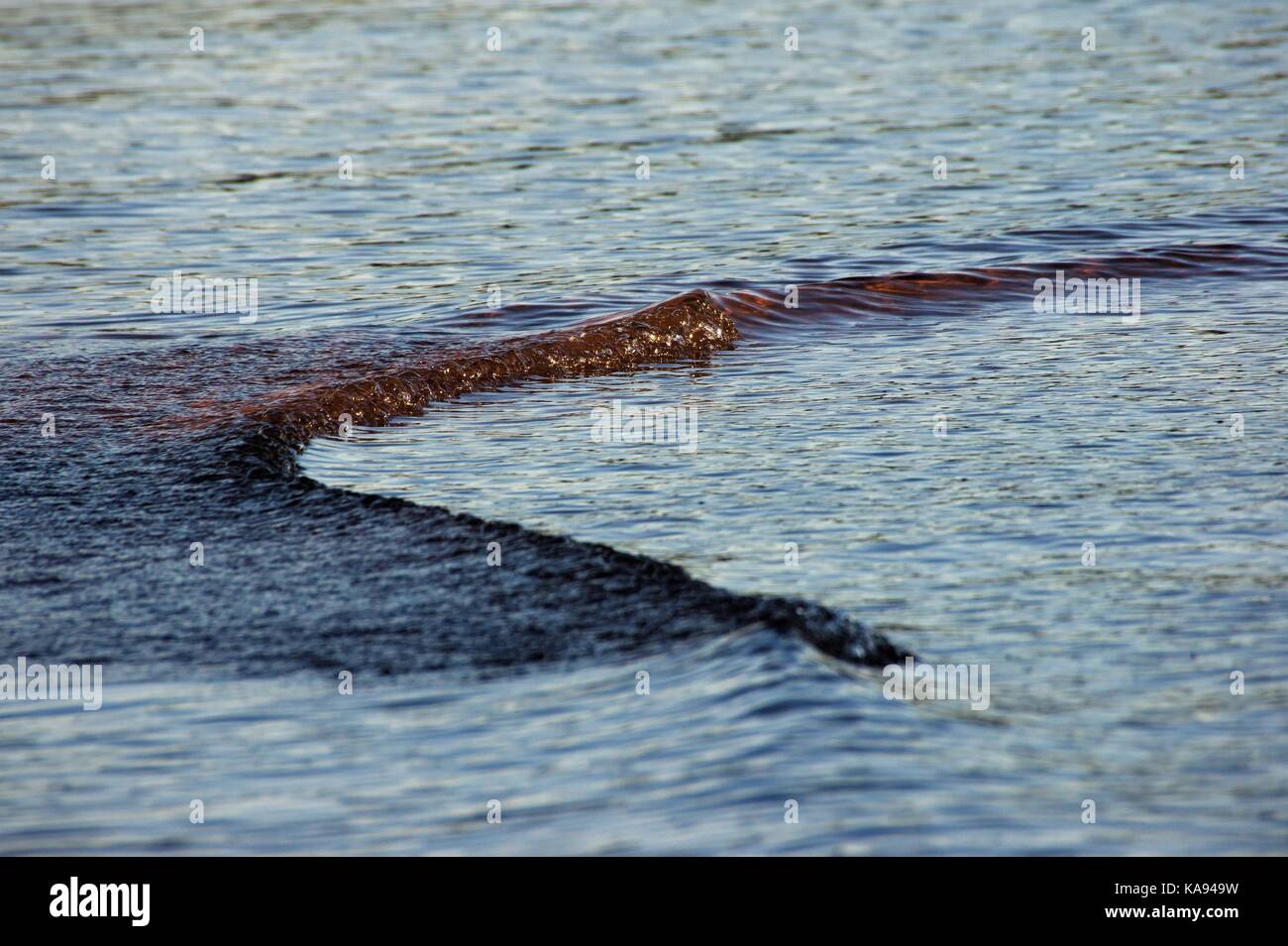 semi circular wave Stock Photo - Alamy
