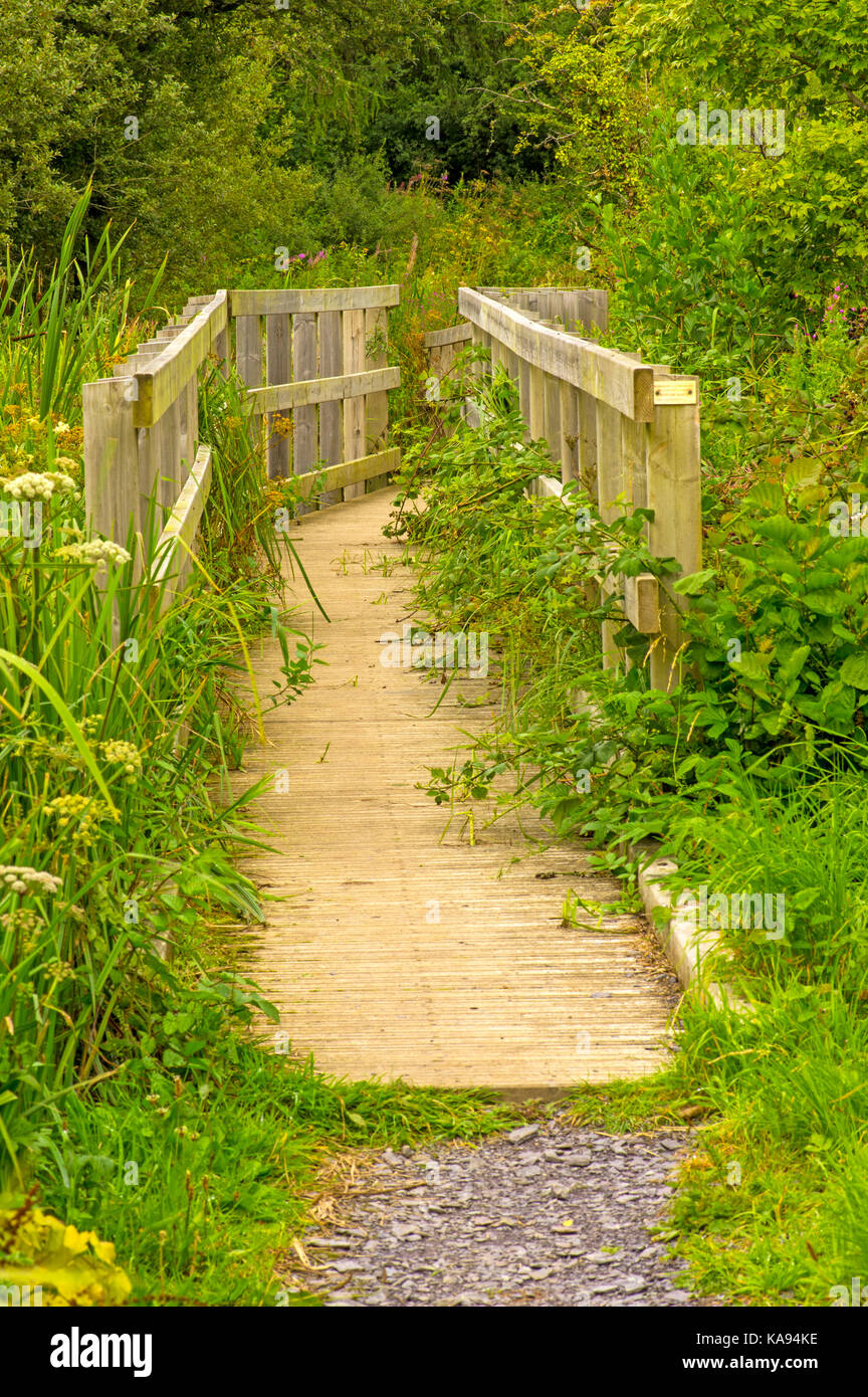 Bridge across a stream at Llyn Cefni Stock Photo - Alamy