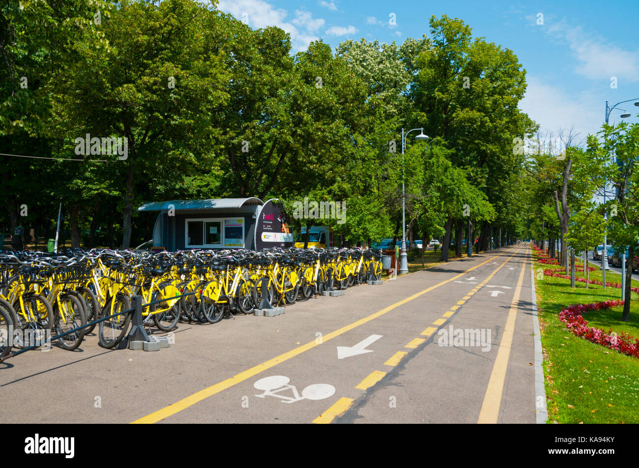 Bicycle lane, city bikes, Aviatorilor, Bucharest, Romania Stock Photo ...