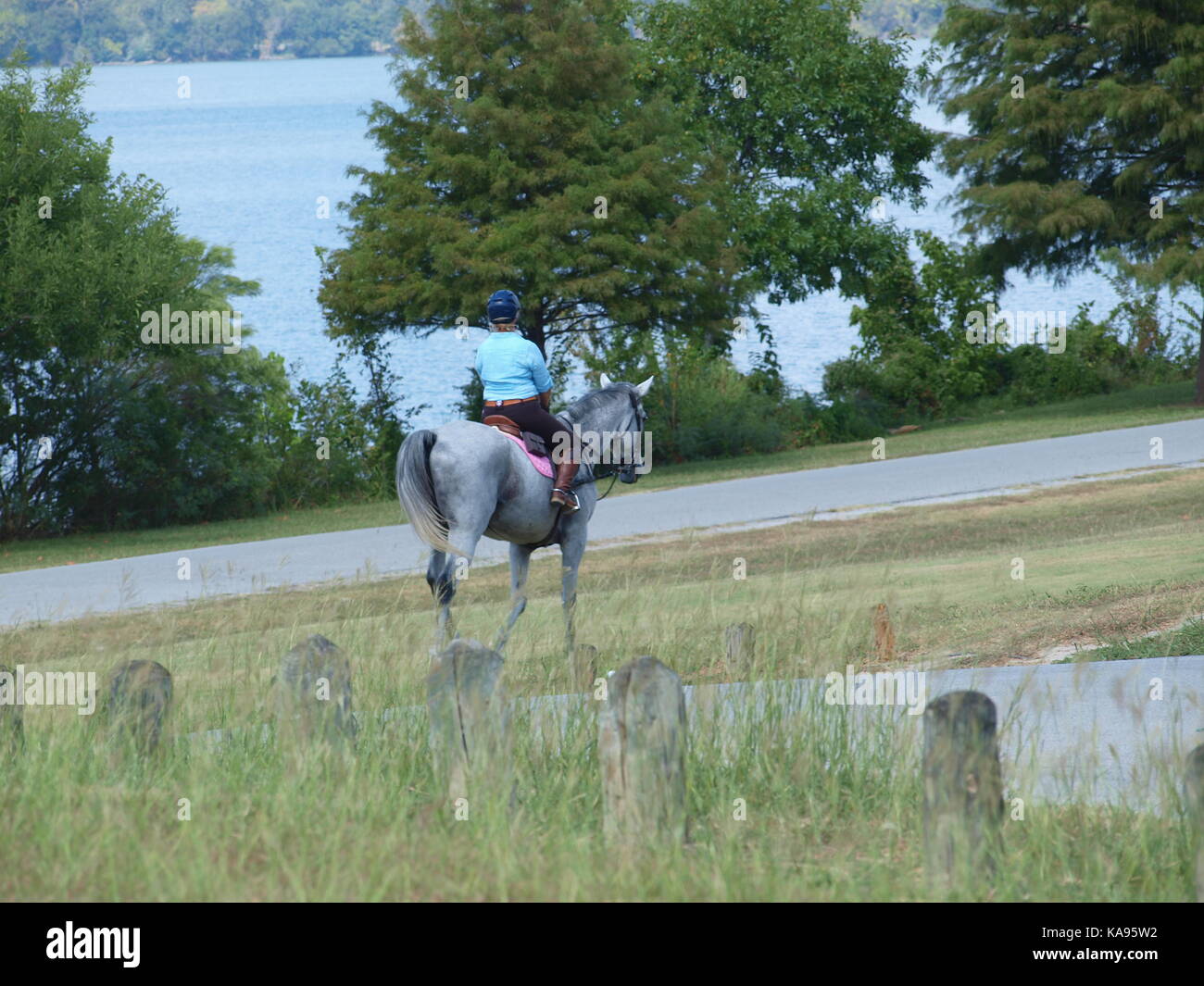 Perfect Equestrian Match of Rider to Horse - OL5819735 Stock Photo - Alamy