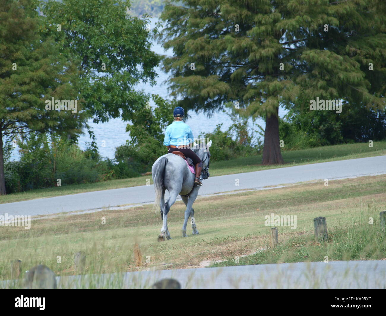 Perfect Equestrian Match of Rider to Horse - OL5819735 Stock Photo - Alamy