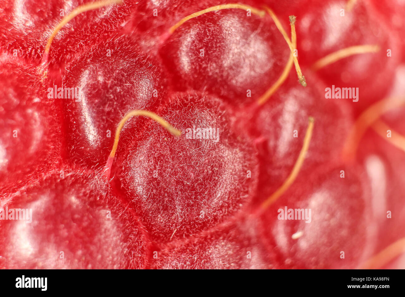 Raspberry Macro Closeup. Texture Background Stock Photo - Alamy