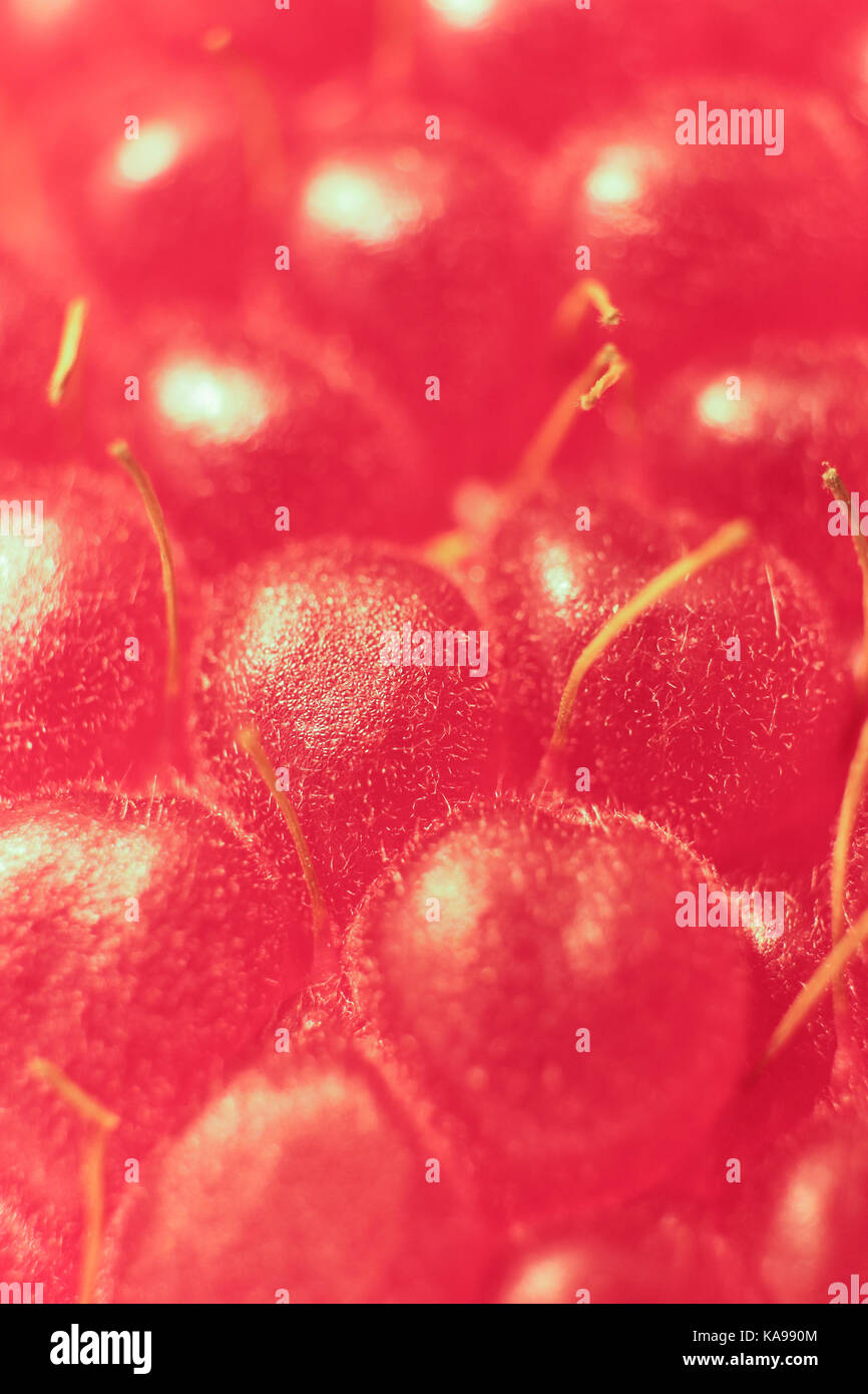 Raspberry Macro Closeup. Texture Background Stock Photo - Alamy
