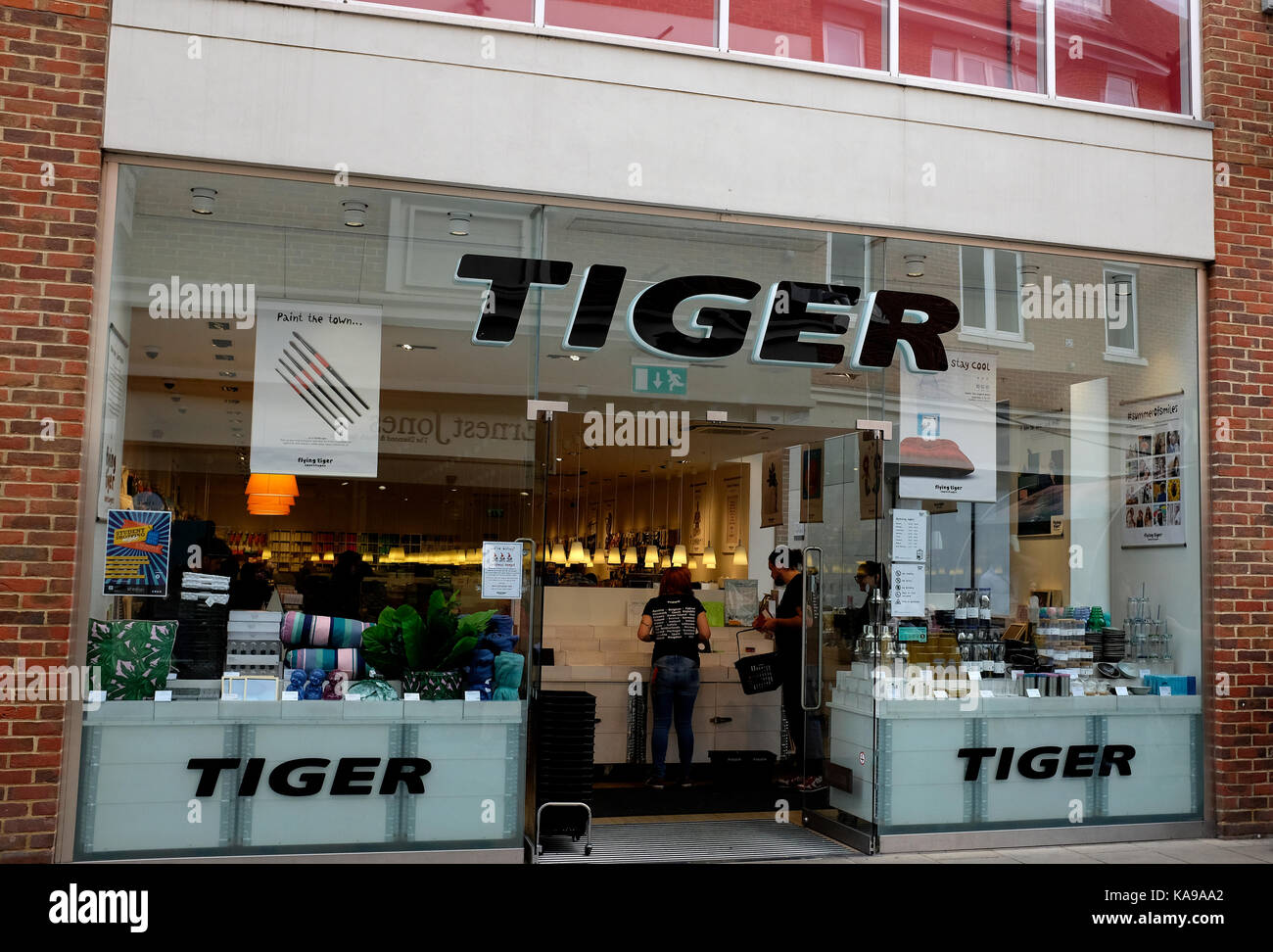 Tiger logo design hi-res stock photography and images - Alamy