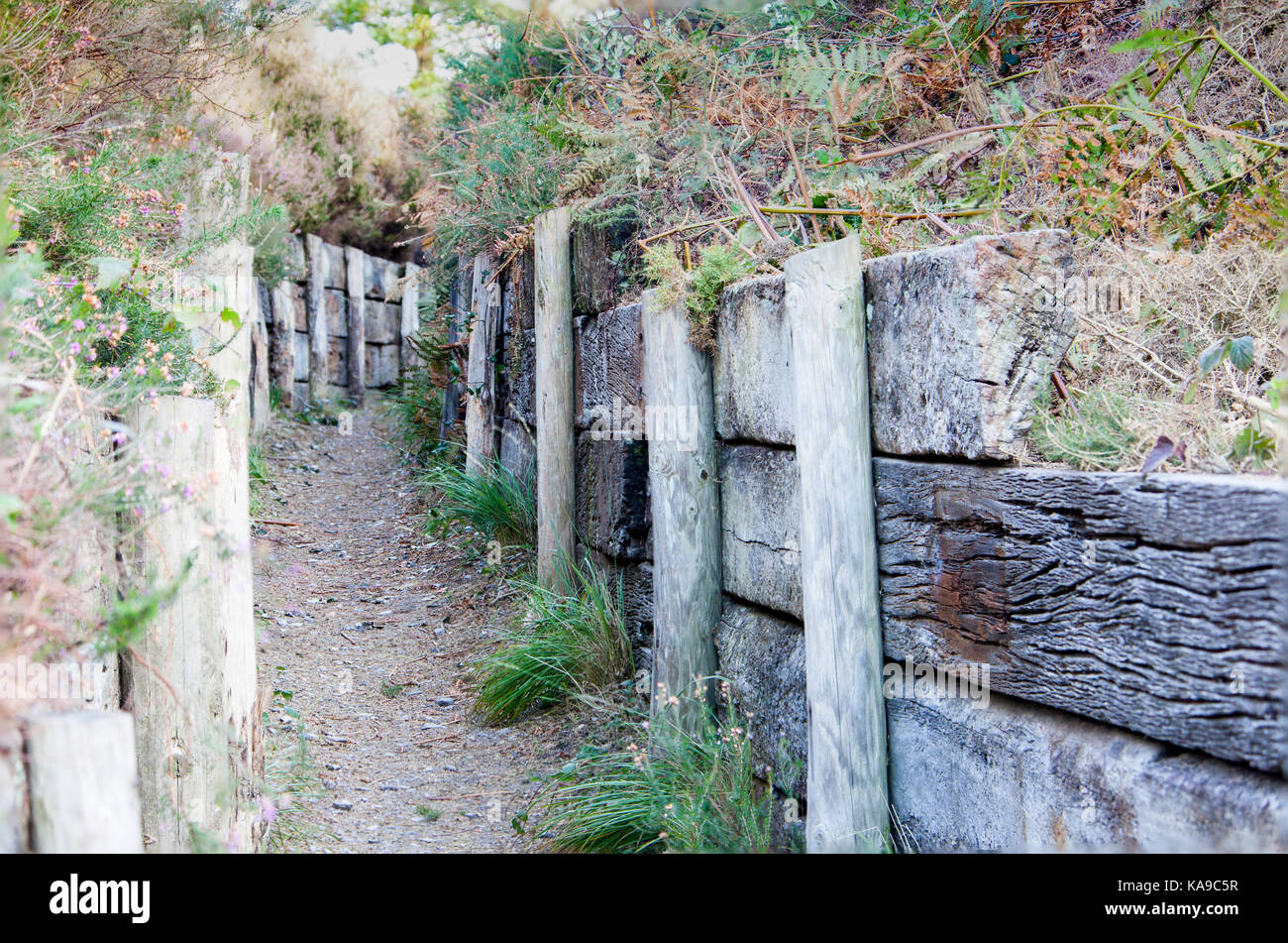 Trench boarded pathway at Arne, Wareham, Dorset Stock Photo - Alamy