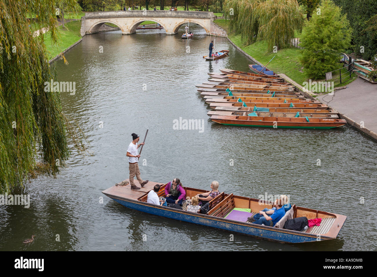 view of punts on river cam cambridge Stock Photo - Alamy