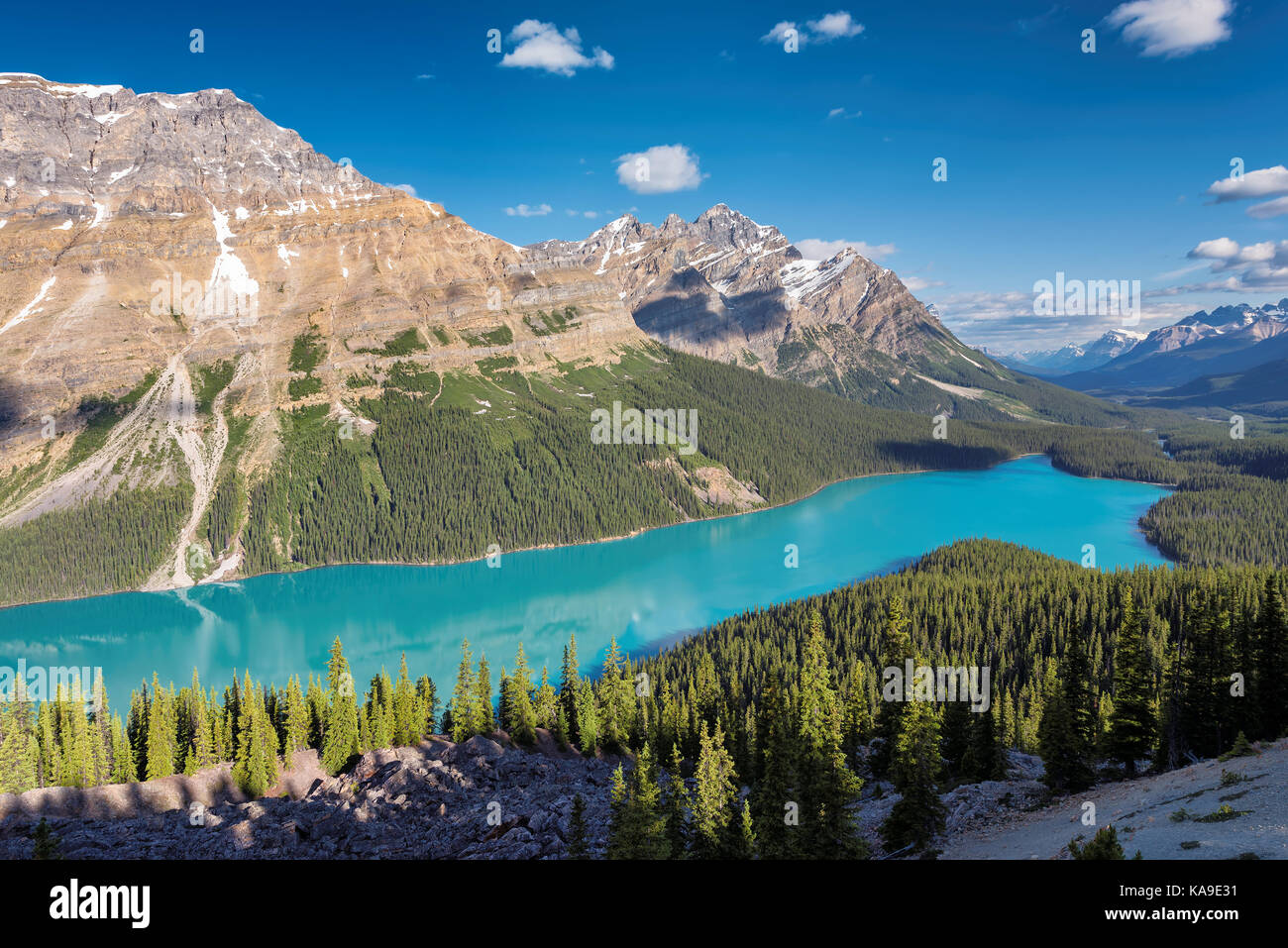 Peyto lake at sunrise banff national park hi-res stock photography and ...