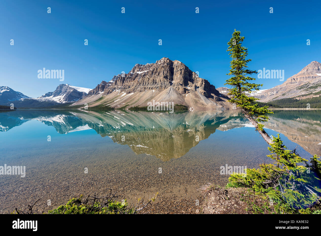Bow lake canada hi-res stock photography and images - Alamy