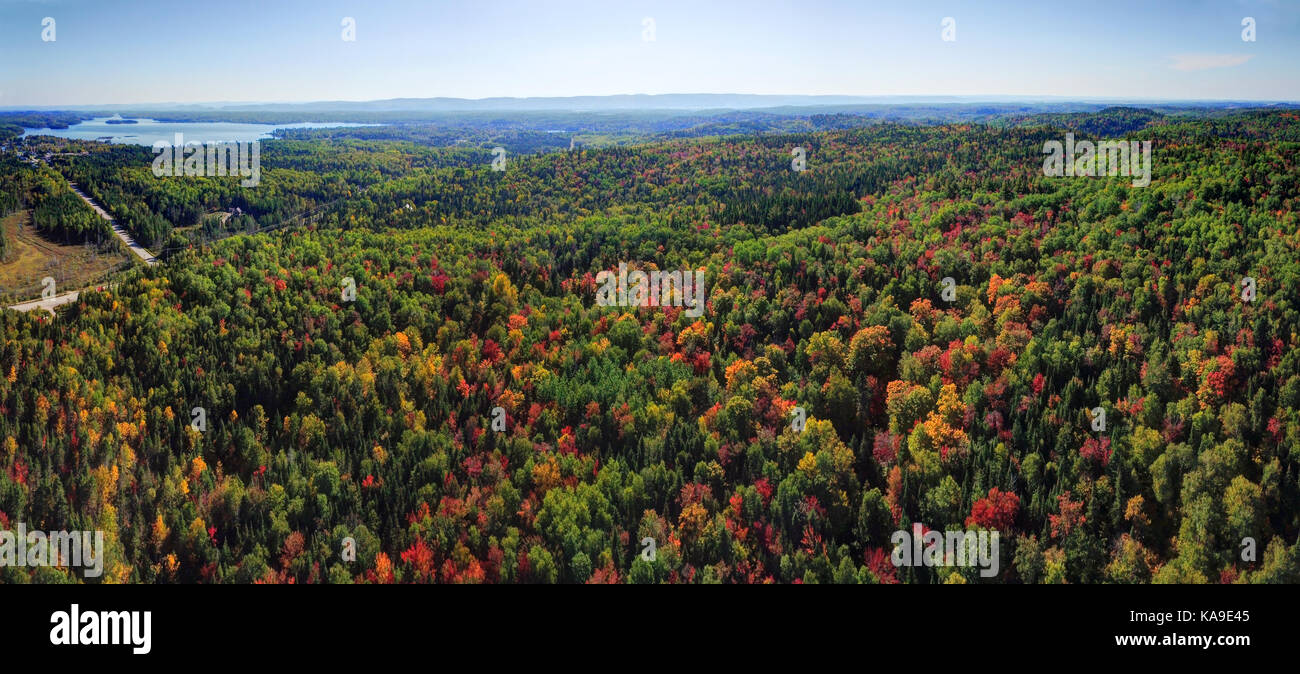 Beautiful panorama aerial view of colorful fall forest Stock Photo - Alamy